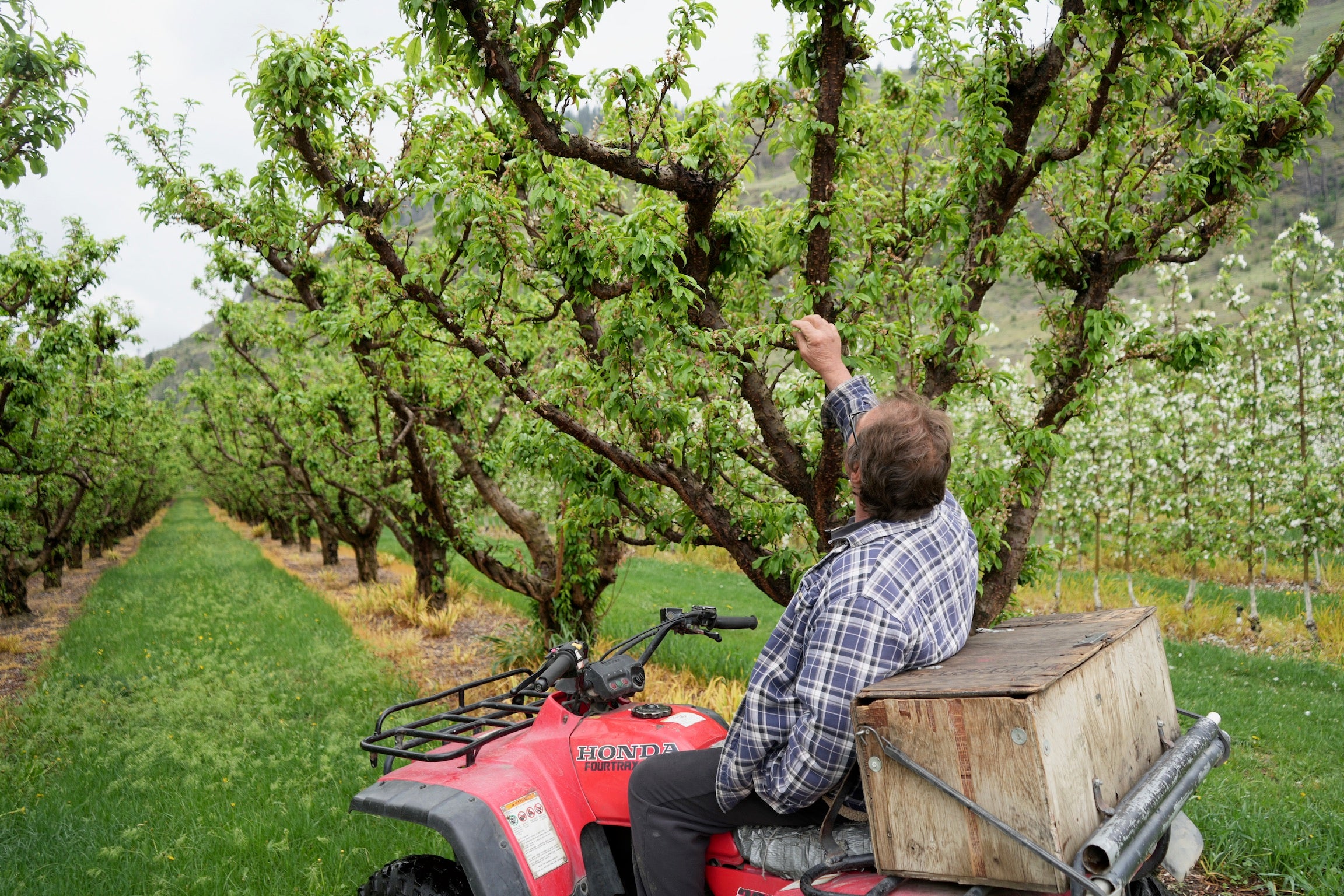 Our Farms – Souto Farms