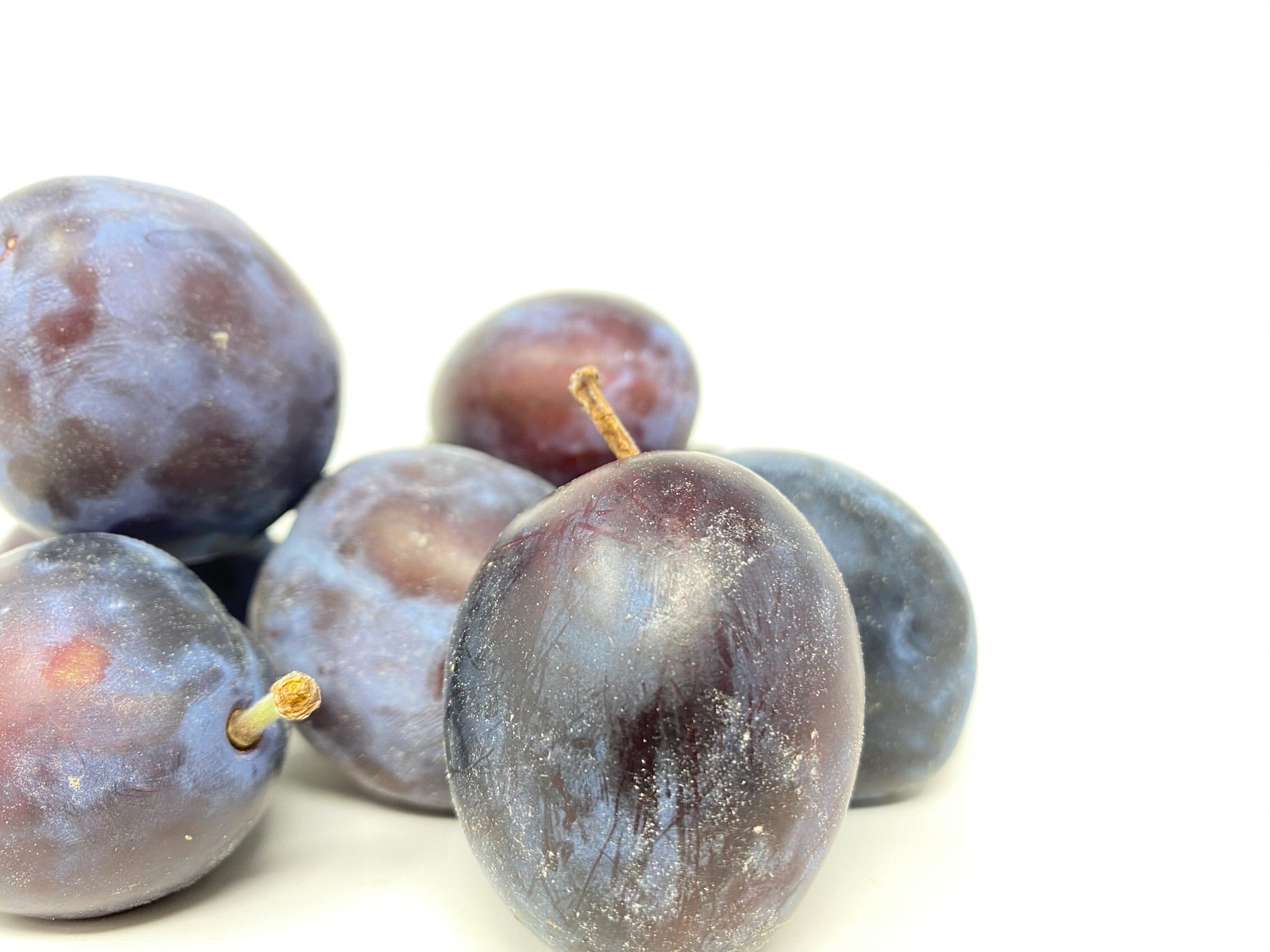 Product Availability – Souto Farms